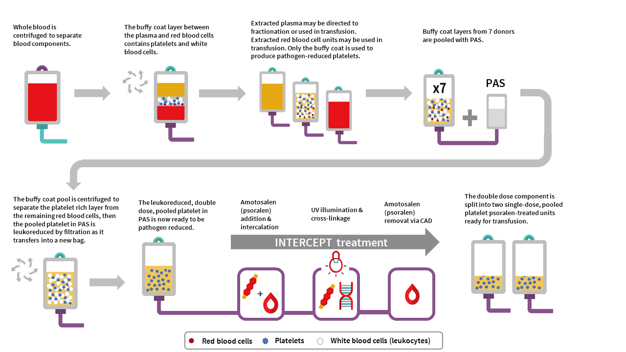 Pathogen-reduced platelets | Professional Education